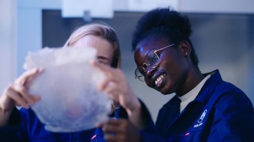 Giant Kelp: Restoring Oceans & Supporting Sustainable Agriculture | Kelp Blu